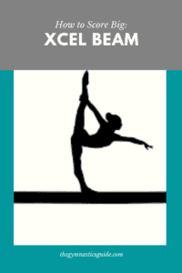 Xcel Bronze - The Gymnastics Guide